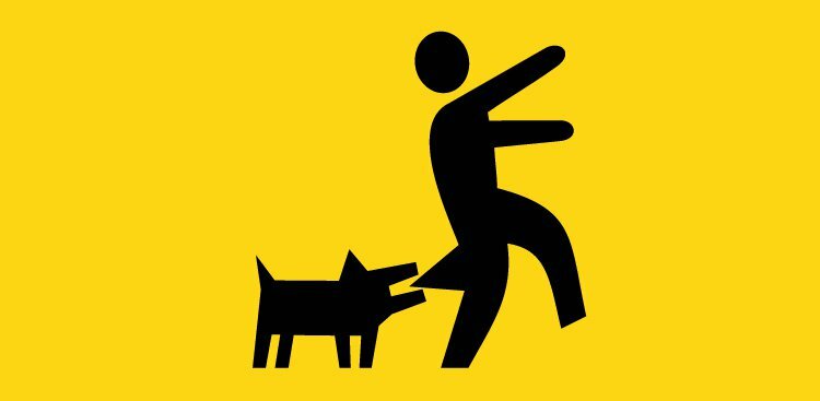 7 Crazy Interview Stories You Won't Believe Are True | The Muse | The Muse