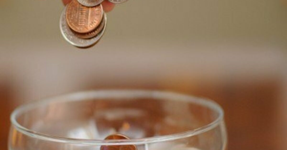 The Gift of Good: Charitable Gifts for Everyone on Your… | The Muse