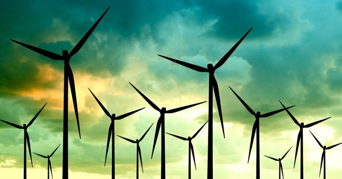 Green Gigs: How to Launch a Stellar Sustainability Career | The Muse