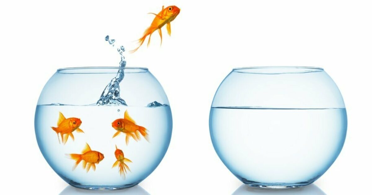 Steps to Take When Your Co-worker is Promoted Over You | The Muse