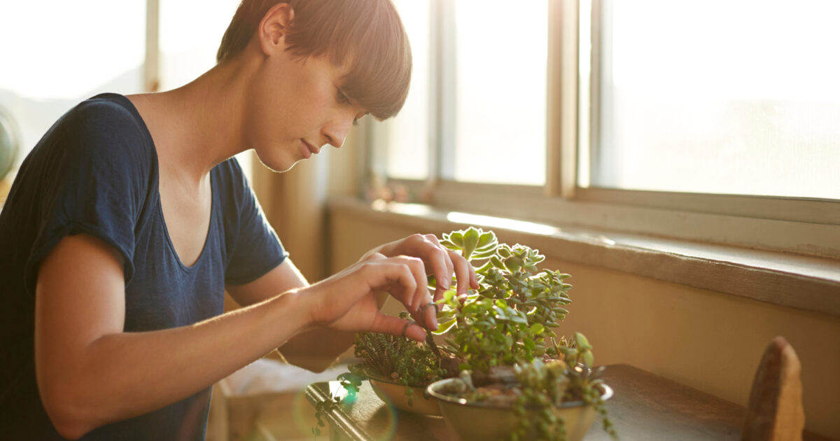 5 Easy DIY Side Projects You Can Do at Home | The Muse