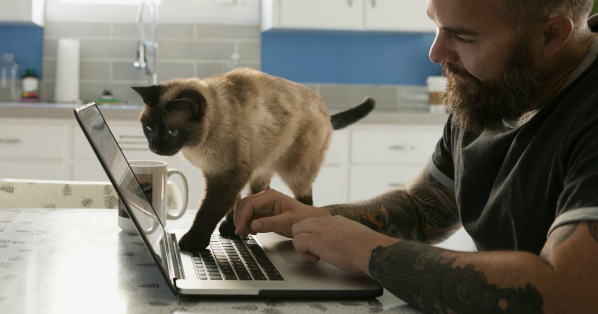 7 Resources for People Working Remotely | The Muse