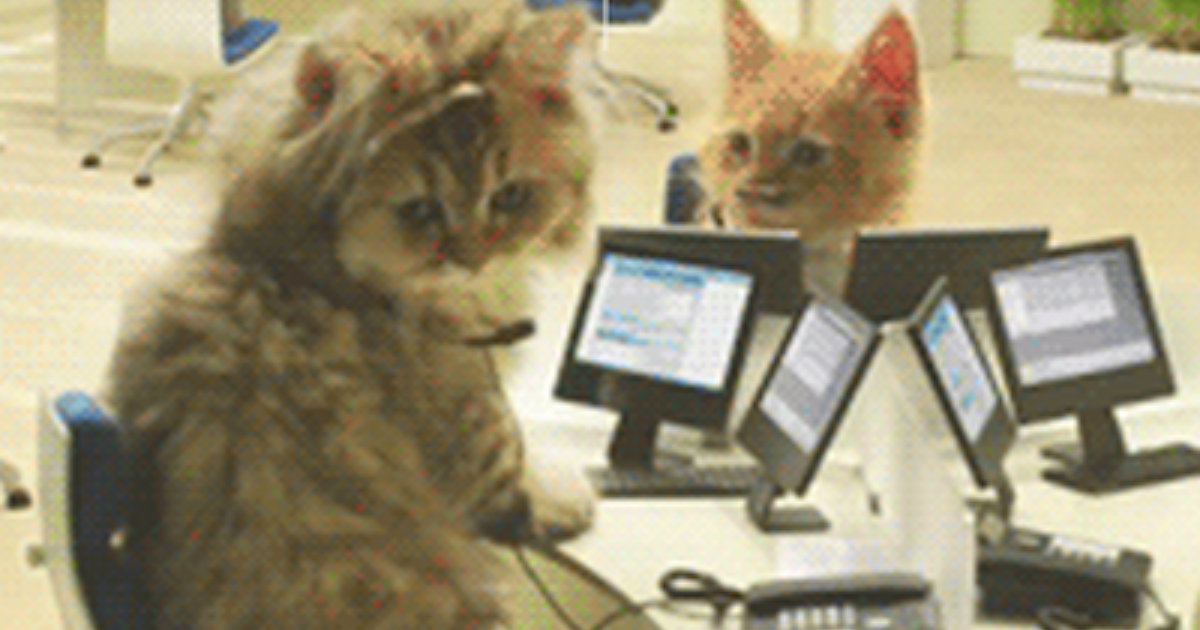 13 GIF Cards to Send to Your Co-Workers | The Muse